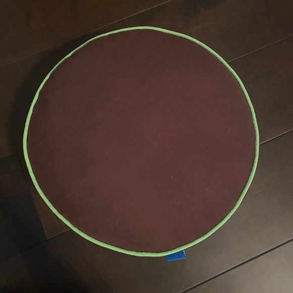 Pottery Barn Teen | Accents | Pottery Barn Turtle Throw Pillow | Poshmark